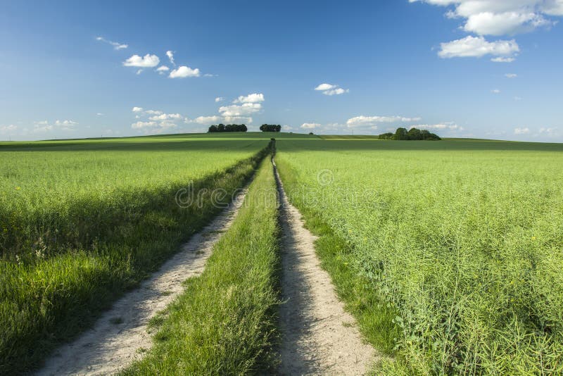 Long Dirt Road through Green Fields Stock Photo - Image of farmland ...
