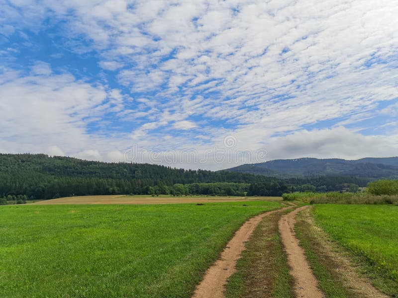 Long Double Pathway between Green and Yellow Fields Stock Photo - Image ...