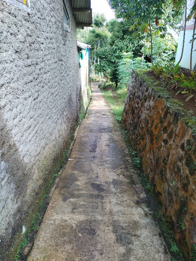 Long Downhill Path stock photo. Image of road, path - 241719482