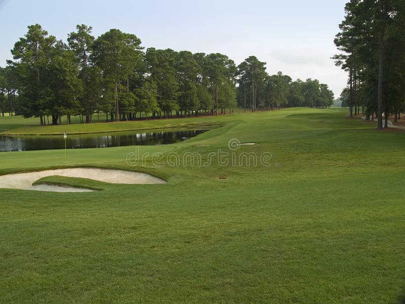 Long Drive stock image. Image of grass, beach, carolina - 5961577