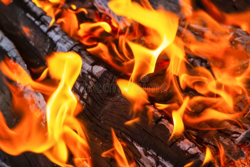 Long Embers, Burnt Wood in a Bright Bonfire Amid an Orange Flame Stock ...