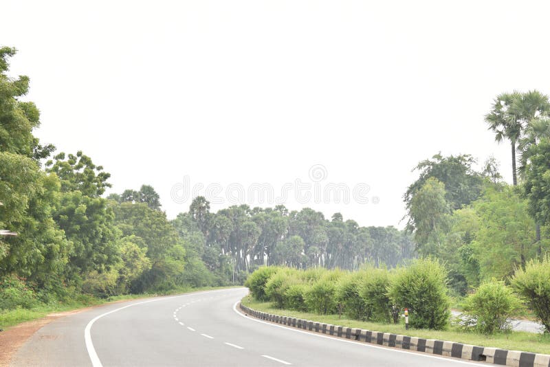 Long Empty Highway Road Turning Right, Palm Tree on the Roadside,and ...