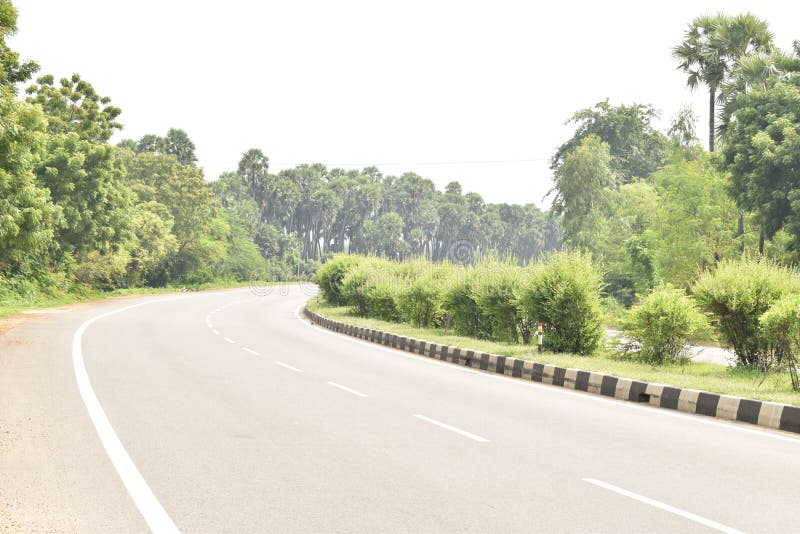 Long Empty Highway Road Turning Right, Palm Tree on the Roadside,and ...