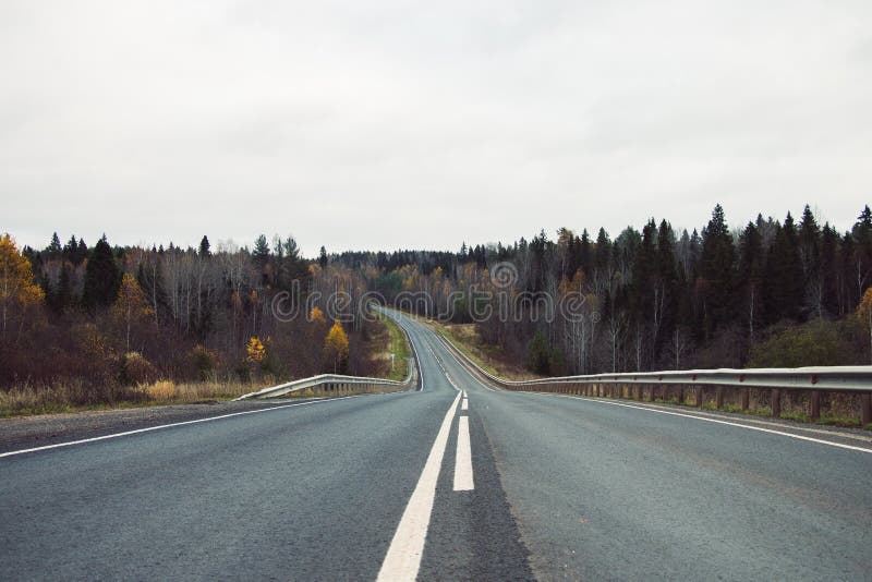 Long Empty Road in Autumn Forest Stock Photo - Image of foliage ...