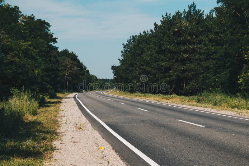 The Long Empty Road in the Full Forest Stock Image - Image of long ...