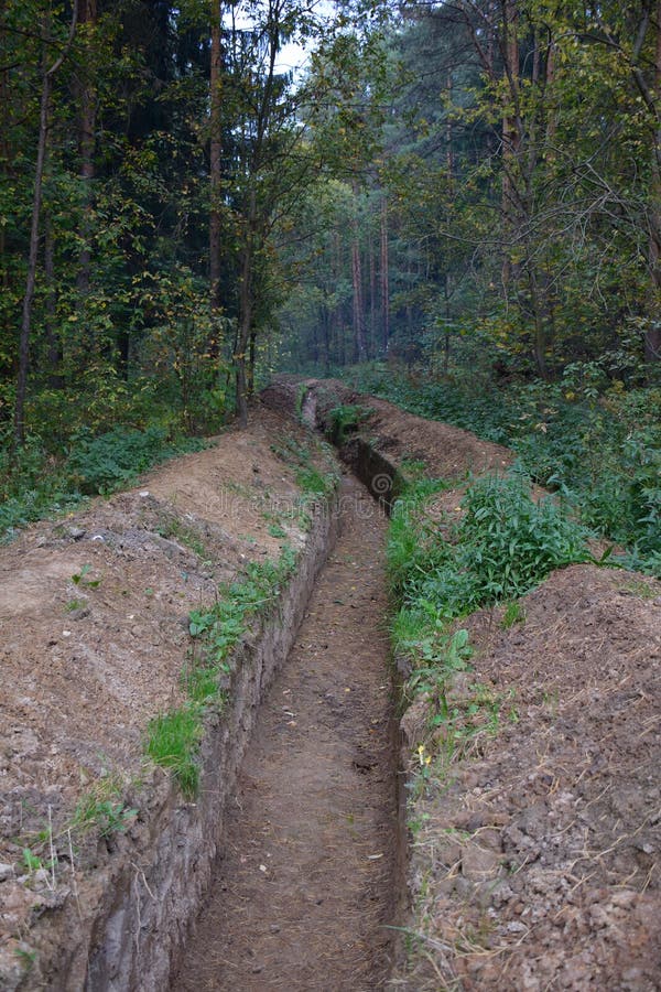 Long Enpty Trench in the Forest Stock Image - Image of landscape ...