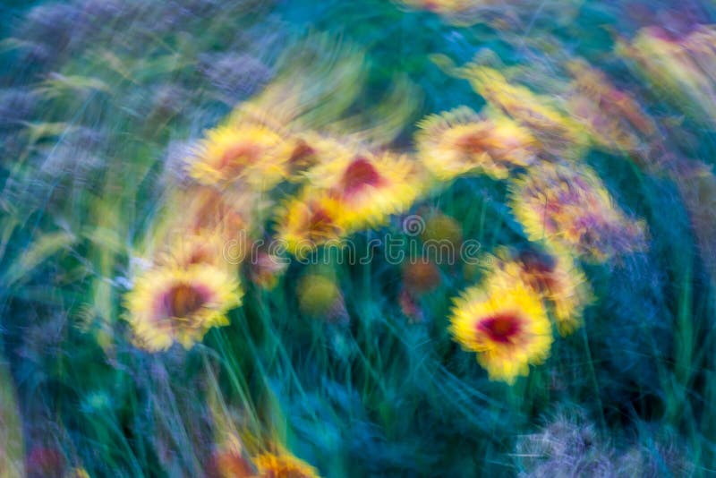 Long Exposure Abstraction of Flowers Stock Photo - Image of blur ...