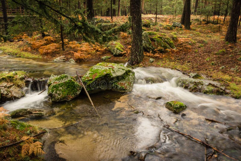 Long Exposure Autumn River Landscape Stock Image - Image of bright ...