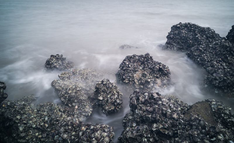 Long Exposure Barnacles on the Rock by the Seaside. Stock Photo - Image ...