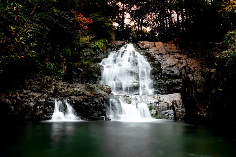 Long Exposure of the Beautiful Cascading Waterfall in the Woods Stock ...