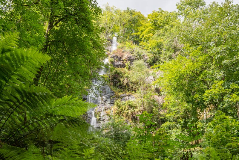 Canonteign falls stock photo. Image of horizontal, cascade - 193504020