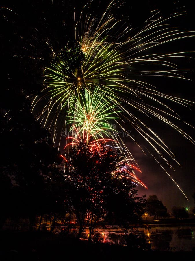 Firework Display with Tree Silhouette Stock Photo - Image of green ...