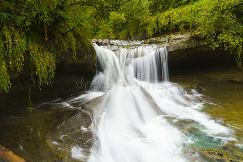 Long Exposure on a Forest Stream Waterfall Stock Photo - Image of flow ...