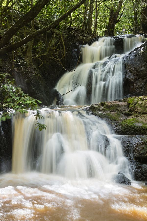Nairobi River Waterfall in Karura Forest, Kenya Stock Photo - Image of ...