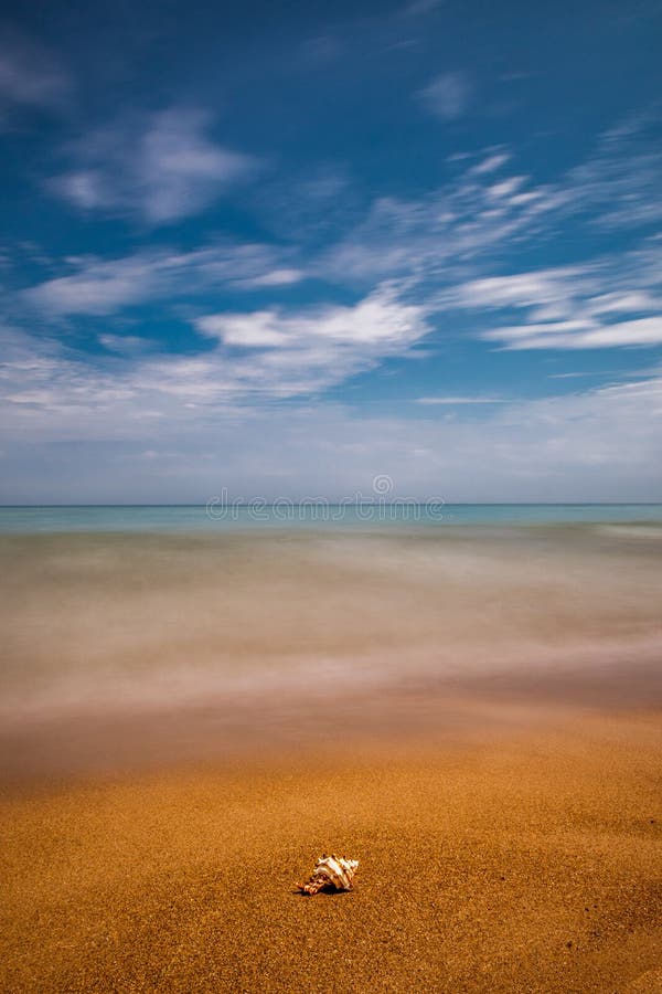 Long Seashell in the Sand with Water Ripples Stock Image - Image of ...