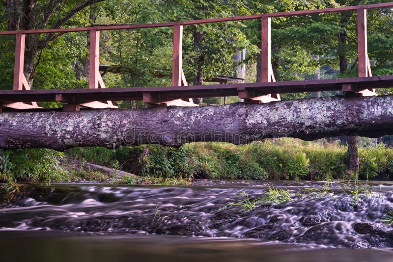 A Long Exposure of a Mountain Stream Flowing Under a Log Bridge. Stock ...