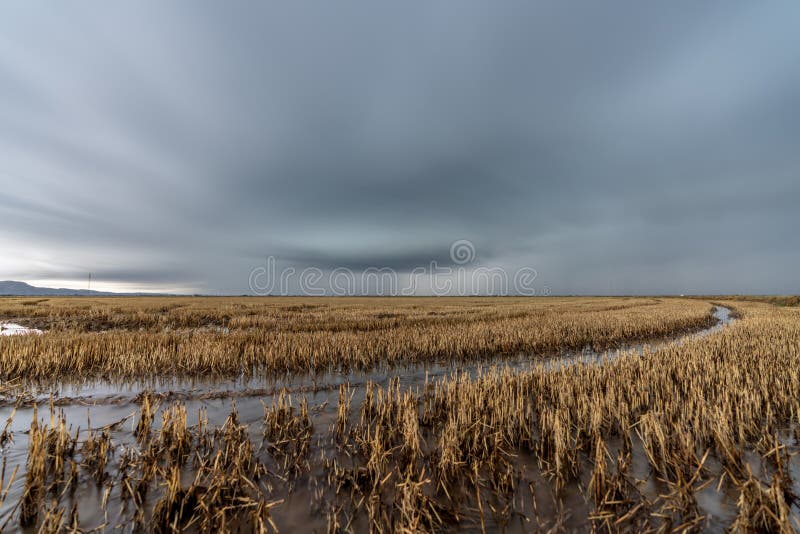 Long Exposure Over the Flooded Rice Fields in Albufera Stock Image ...