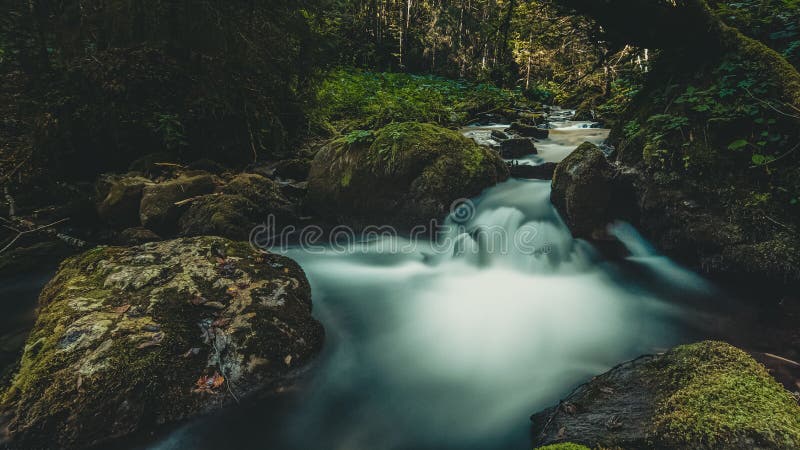 Long Exposure of a River in a Forest Stock Photo - Image of landscape ...