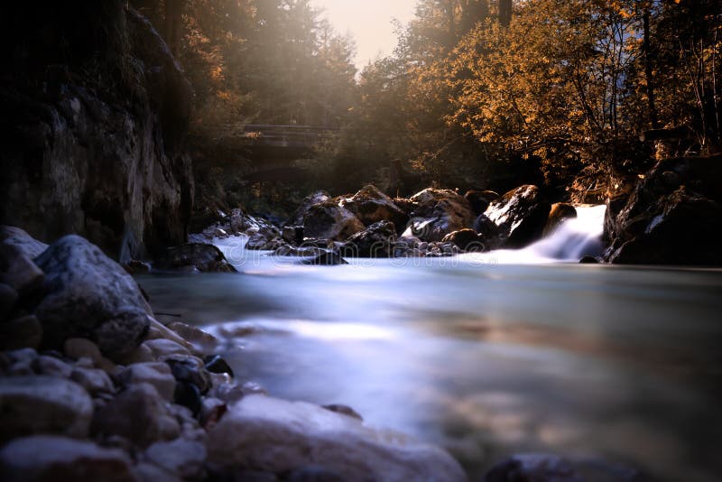 Long Exposure of a River in a Forest Stock Photo - Image of landscapes ...