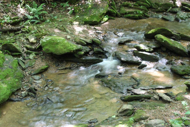 Creek with mossy rocks stock photo. Image of flowing - 191908860