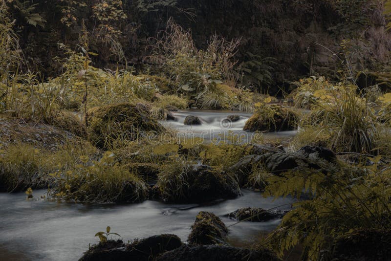 Long Exposure Shot of the Flowing Water of a Rocky River in the Forest ...