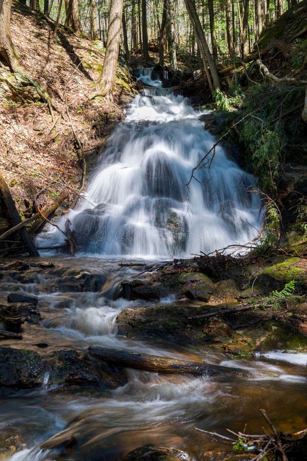 Long Exposure Shot of a Majestic Waterfall Cascading Downward in a ...
