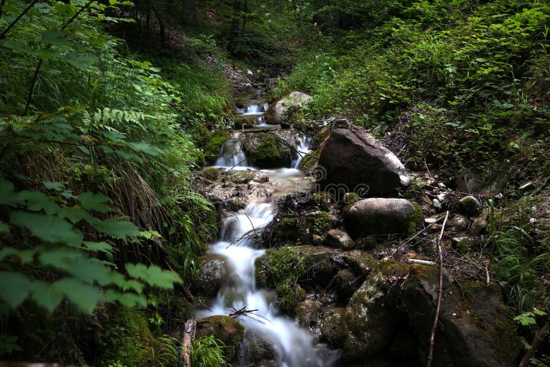 Long Exposure Shot of a River Flowing through the Forest Stock Image ...