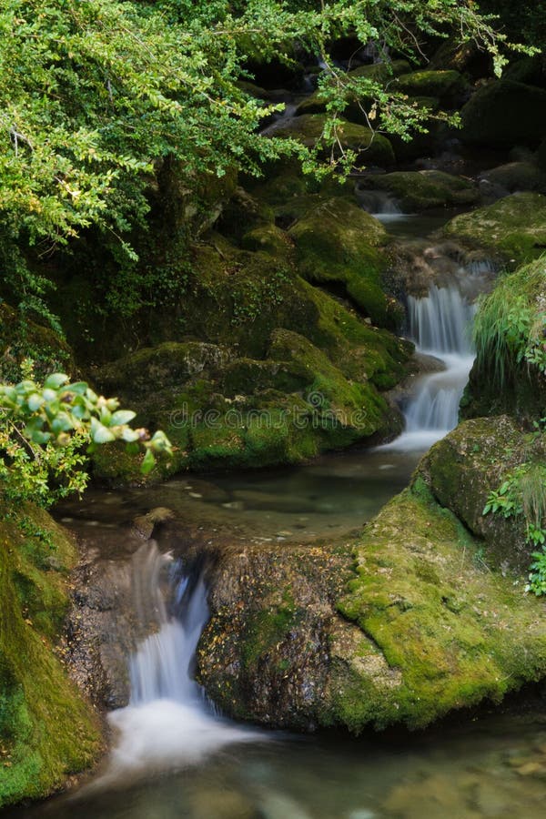 Long Exposure Shot of a Small Cascade Waterfall Flowing Down the Mossy ...