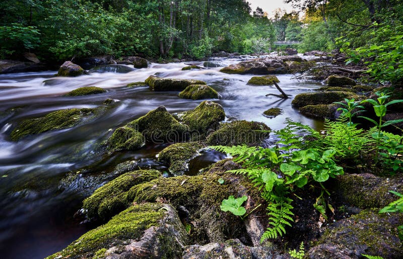 Long Exposure Shot of a Waterfall Flowing Over Mossy Rocks in a Forest ...