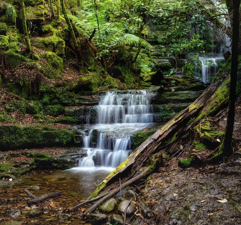 Long Exposure Shot of a Waterfall in the Green Rainforest Stock Photo ...