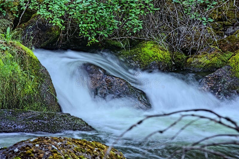 Long Exposure Shot of a Waterfall Streaming on Rocks Surrounded by ...