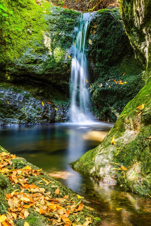 Small Hidden Garden Storied Building Stock Photo - Image of outdoor ...