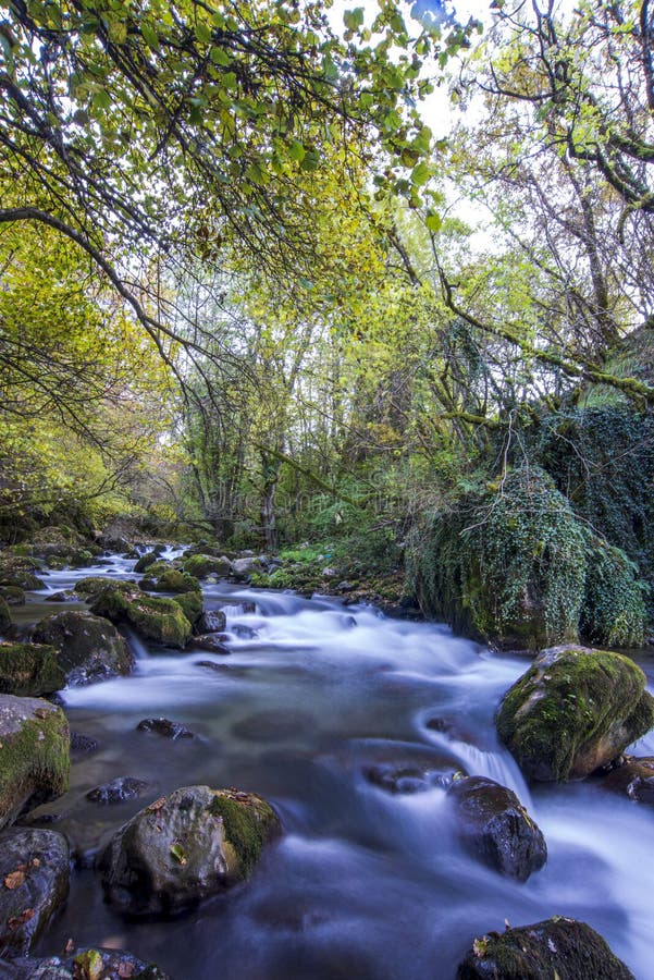 Long Exposure Smooth Flowing Water Over Rocks in Forest Stock Photo ...