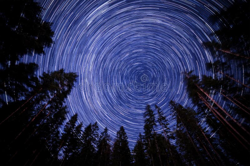 Long Exposure Star Trails in Night Sky Stock Photo - Image of pine ...