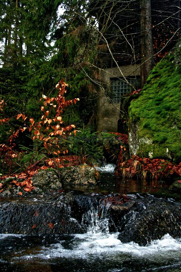 Long Exposure of the Stream Flowing Down the Mossy Rocks in a Deep ...