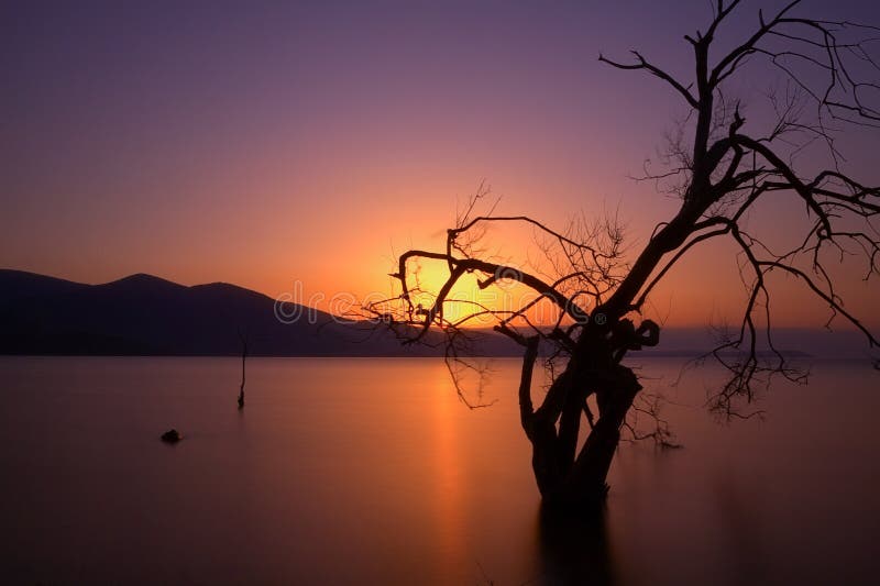 Long Exposure Sunset Scene with a Dead Tree Stock Image - Image of ...