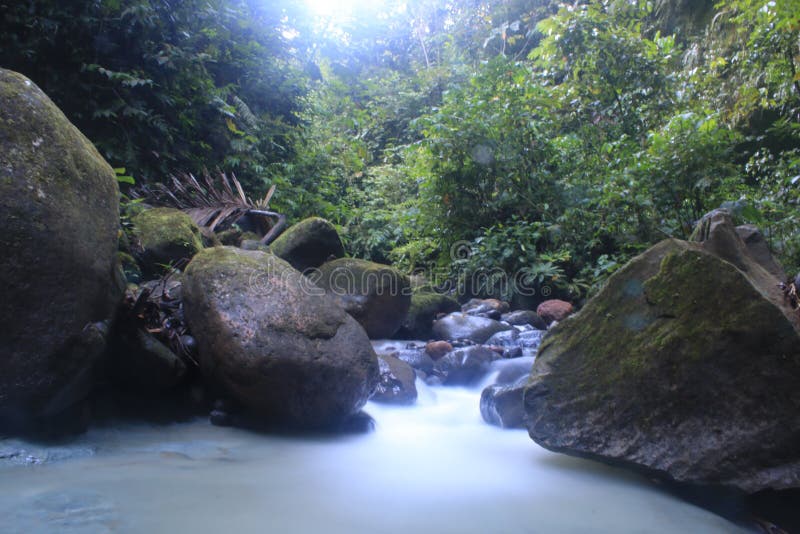 Tropical Stream stock image. Image of rain, stream, rocks - 84092769