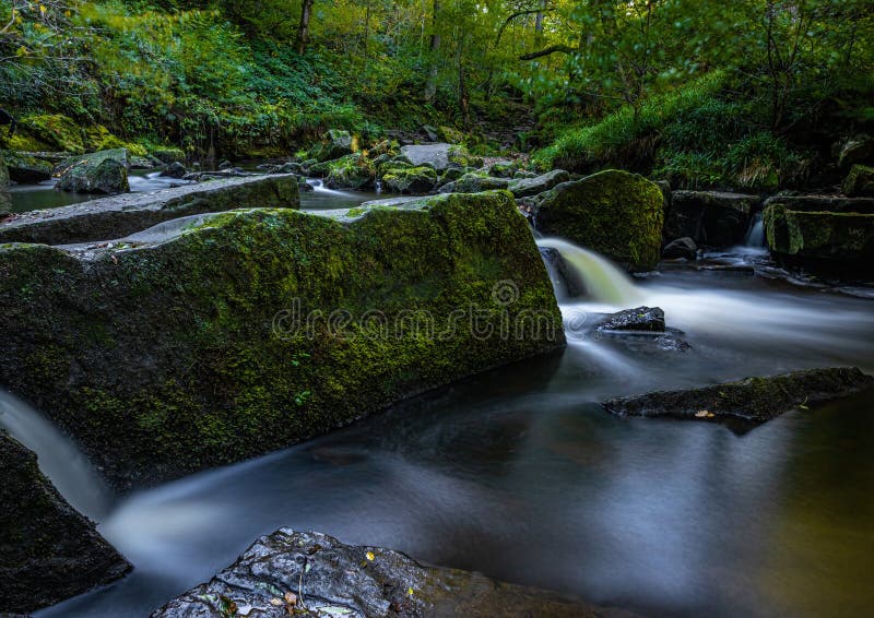 Long Exposure View of the Autumn Forest Stock Image - Image of fall ...