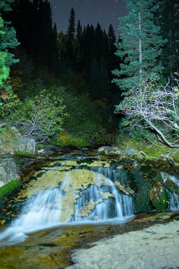 Long Exposure of a Water Cascade in a Dense Forest at Night Stock Photo ...