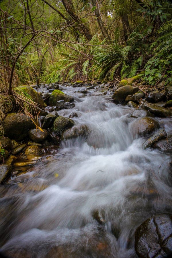 Waterfall spring creek stock photo. Image of fall, spring - 134175828
