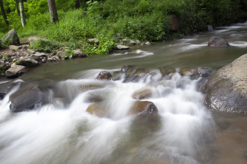 Flow of a Forest Stream Flows through Stones and Vegetation Stock Photo ...