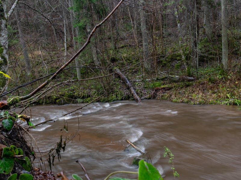 Long Exposure of Water in Small Stream, Water in Motion in Autumn Stock ...