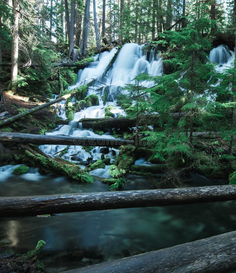 Waterfall Hidden in the Tropical Jungle Stock Photo - Image of amazon ...