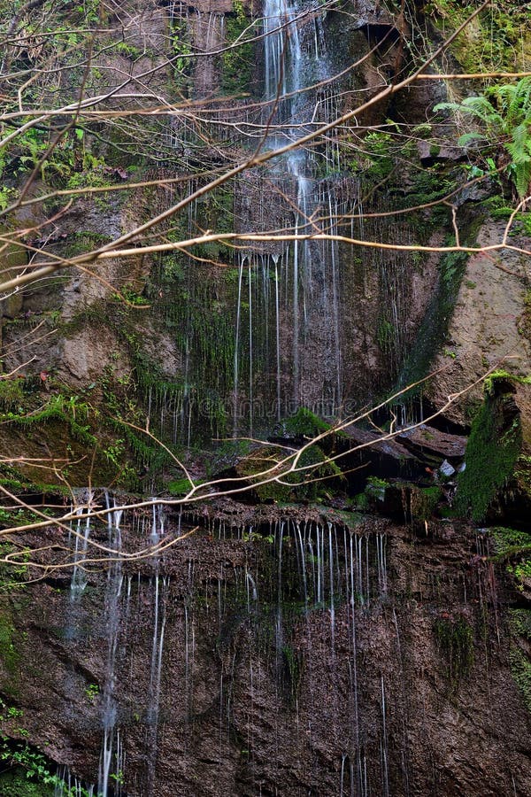 Trickling Waterfall In Peaceful Secluded Woodland Forest. Stock Photo ...