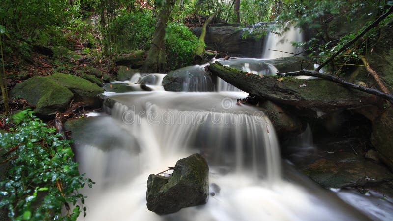 Long Exposure of a Waterfall in the Woods Stock Photo - Image of nature ...