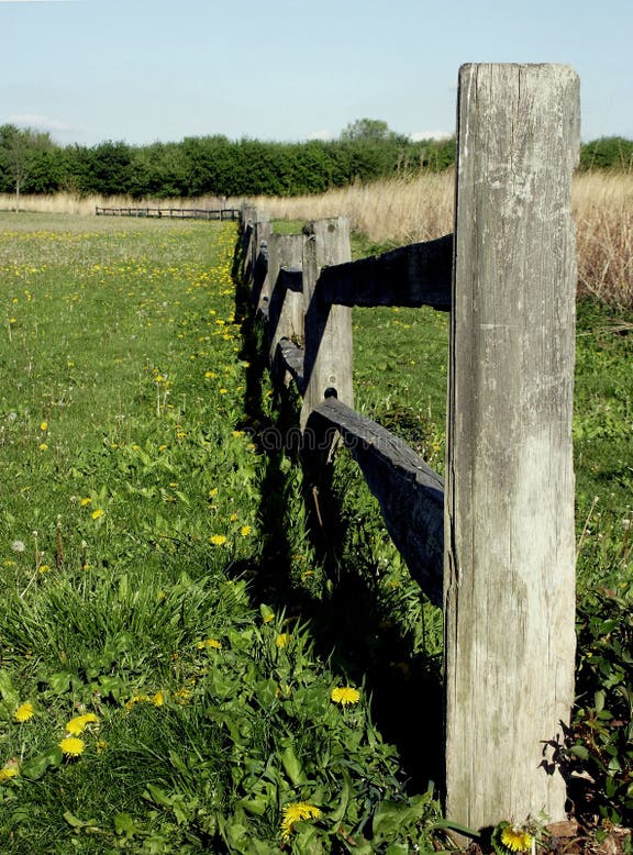 Long Fence stock photo. Image of field, fence, pasture - 207828