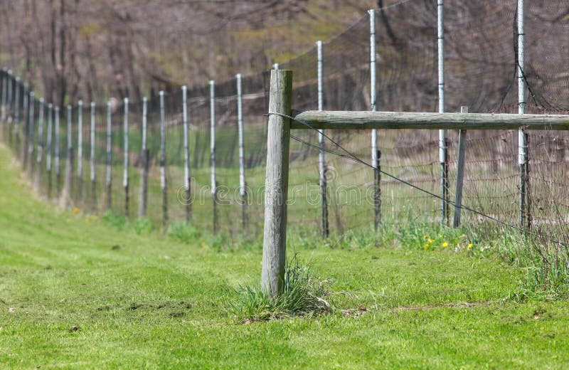 Long fence in farm stock photo. Image of wire, outdoor - 93043680