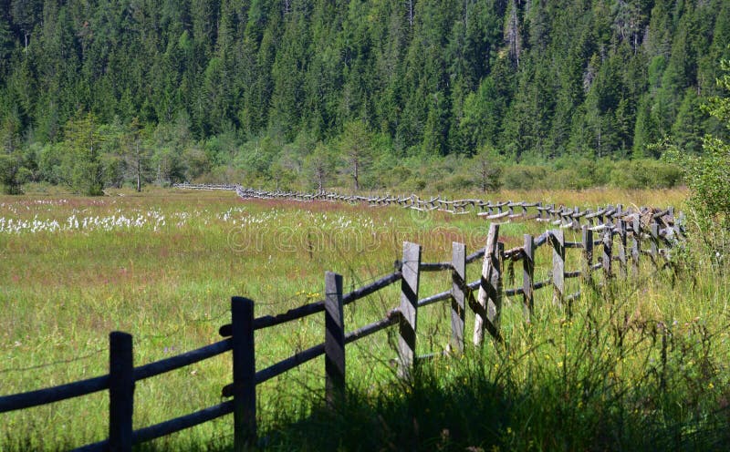 Long fence stock photo. Image of landscape, alps, mountains - 197780922
