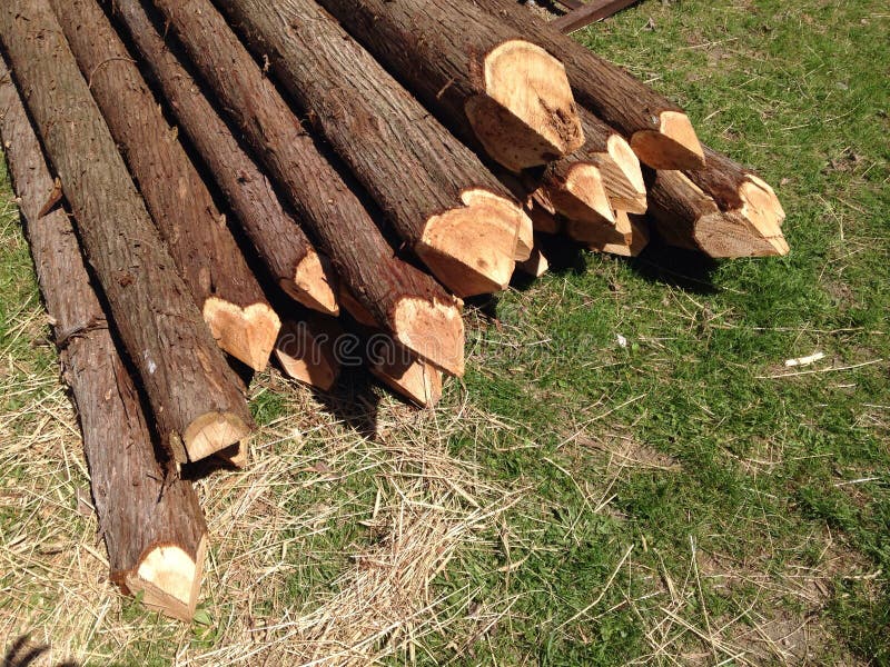 Long fence posts stock photo. Image of trees, posts, pile - 57339134