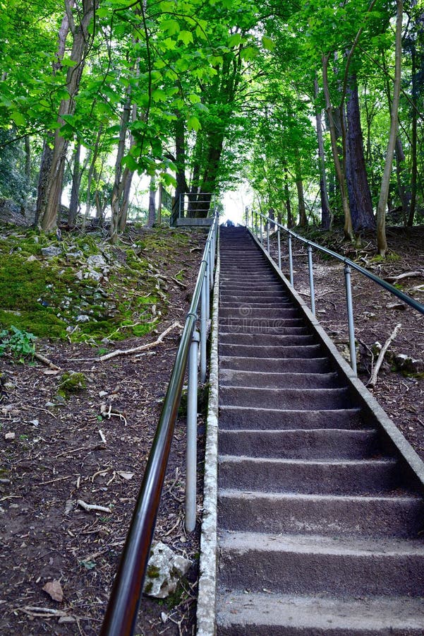 Long Flight of Steps into the Light Stock Image - Image of woods, long ...